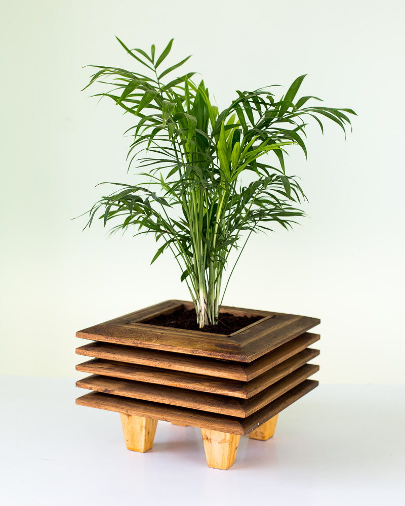 Macetero de Madera Japones I— Arte Cultivos